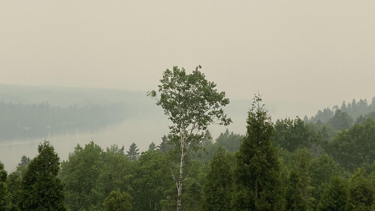 Subir le smog quand on est atteinte de fibrose kystique | Feux de forêt ...