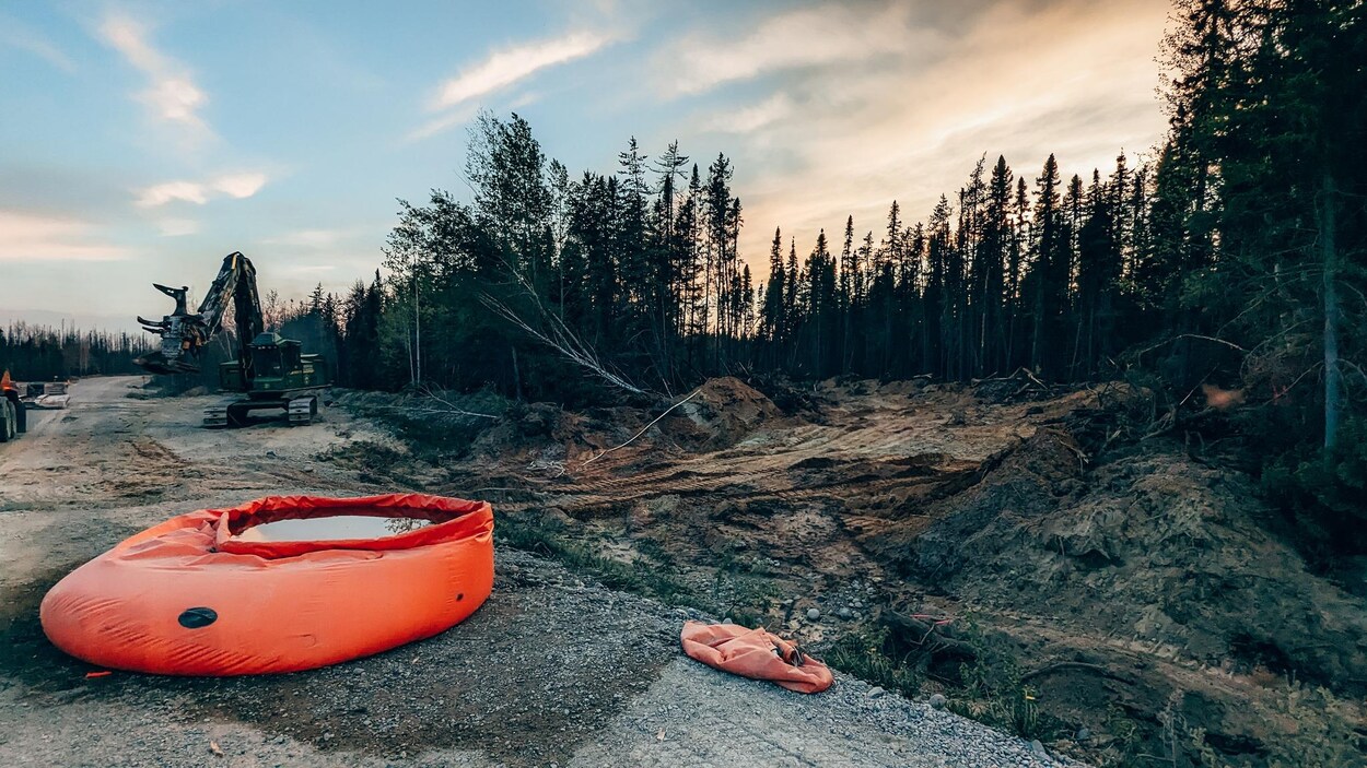 Incendie à Chapais : des dizaines de travailleurs forestiers en appui à ...