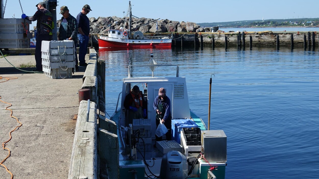 Ottawa injecte plus de 50 M$ dans 13 ports en Gaspésie | Radio-Canada