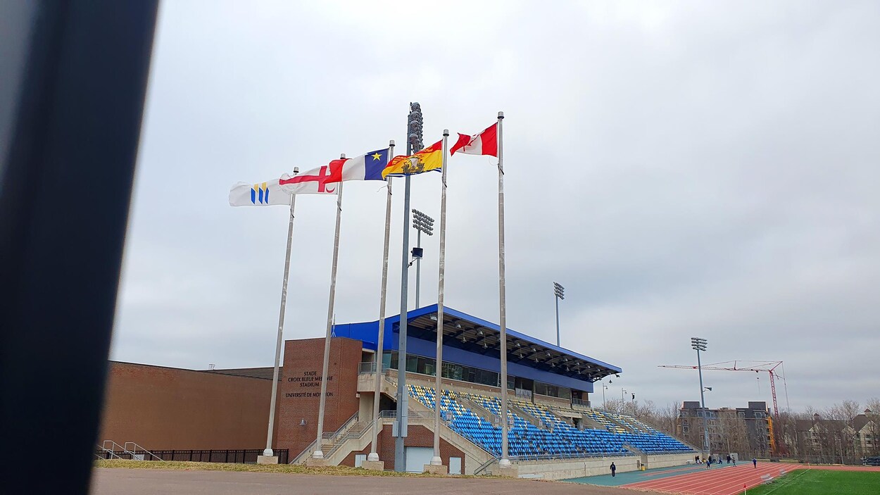 Les risques associés aux terrains synthétiques inquiètent peu au N.-B ...