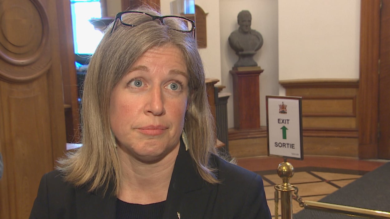 Élections partielles : une grande gueule brouille les cartes de Susan ...