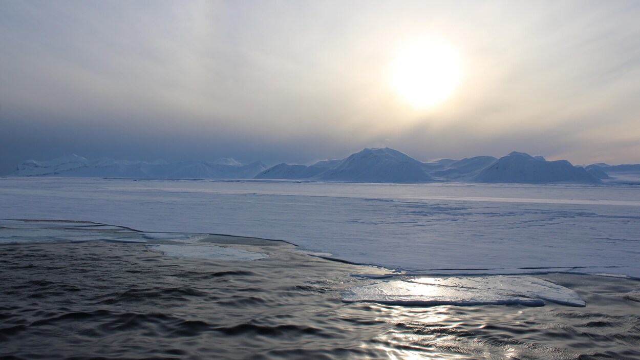 Norvège : record de température pour un mois d’août au Svalbard | Radio ...