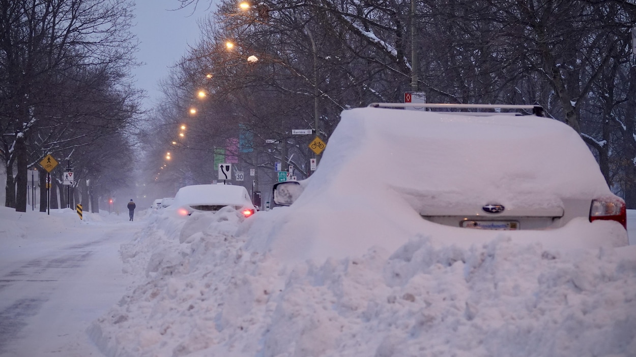La neige prend les rues (et les réseaux sociaux) d’assaut | Brève ...