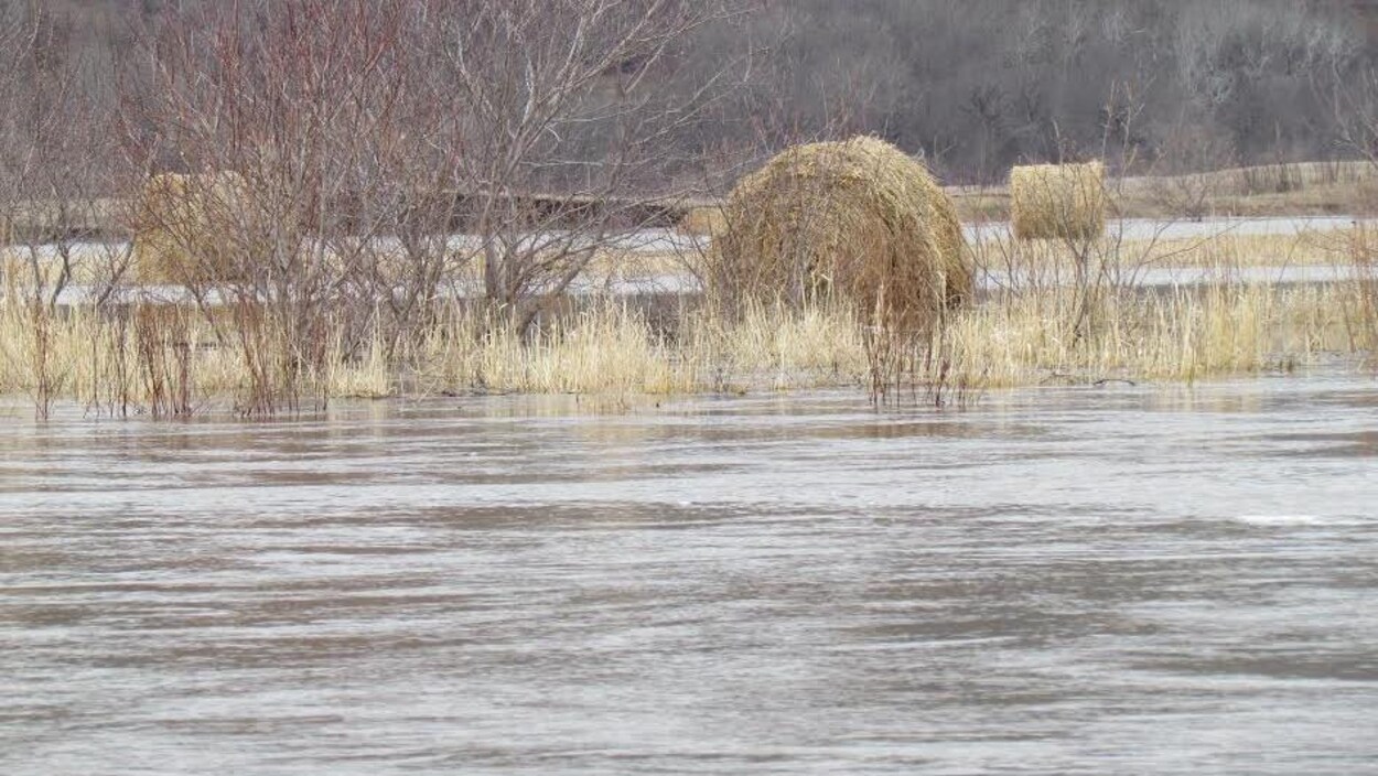 Barrage de Shellmouth : des agriculteurs poursuivent la province ...