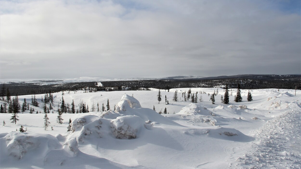 Jusqu’à 15 cm de neige attendus à Schefferville | Radio-Canada