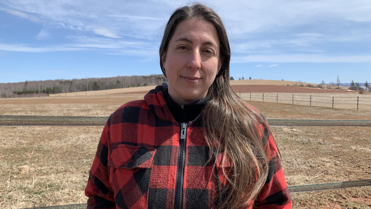 Un remède à cheval contre le stress post-traumatique des vétérans ...