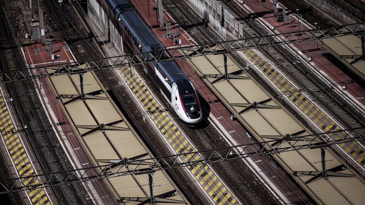 Nouvelle étape pour le TGF : Gatineau et Ottawa se réjouissent des ...