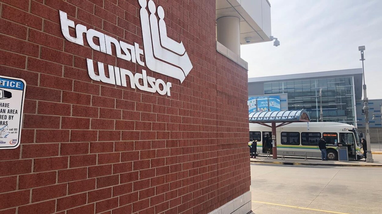 Manque de chauffeurs d’autobus à Windsor en raison notamment du ...