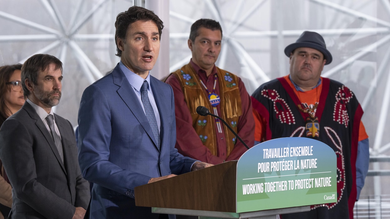 Ottawa versera 800 M$ pour quatre projets de conservation menés par des ...