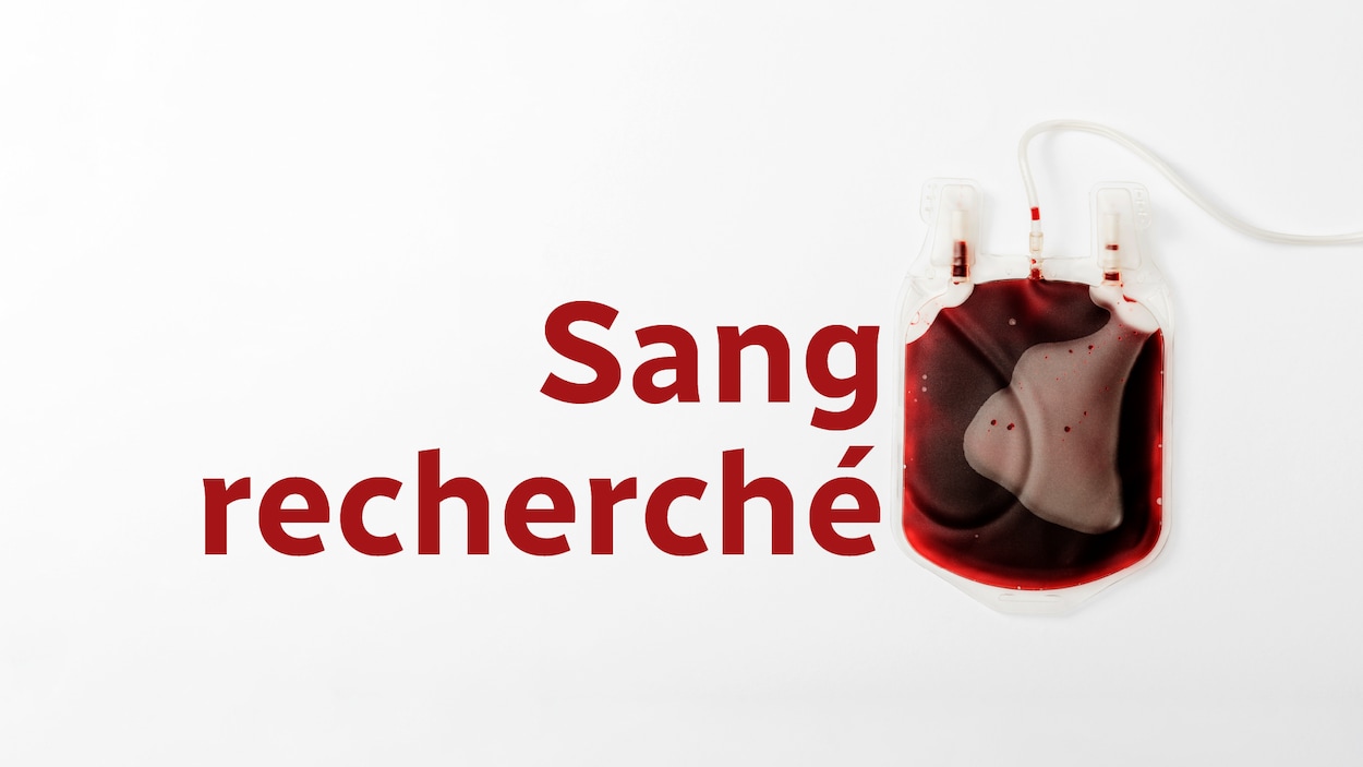 Les donneurs de sang appelés à la rescousse | Info | Radio-Canada