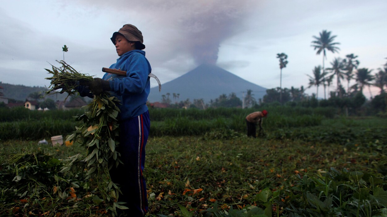 Le volcan Agung force l'évacuation de plus de 100 000 personnes à Bali ...
