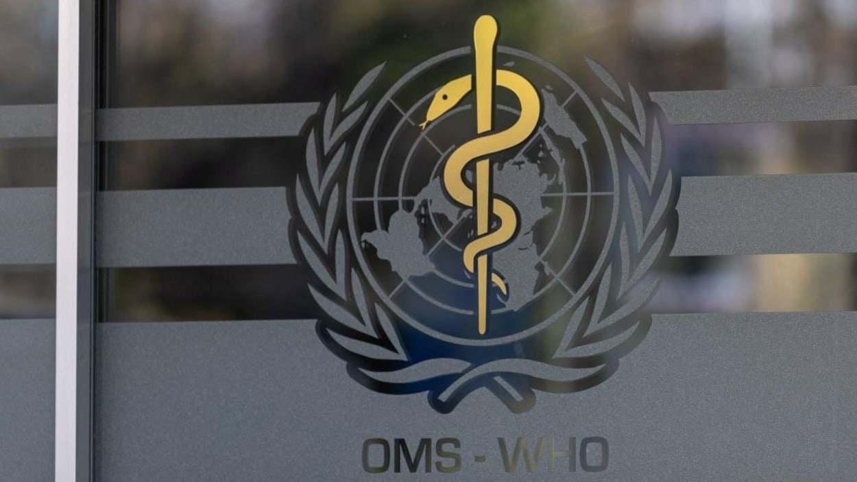L’OMS recommande les médicaments de type Ozempic pour lutter contre l ...