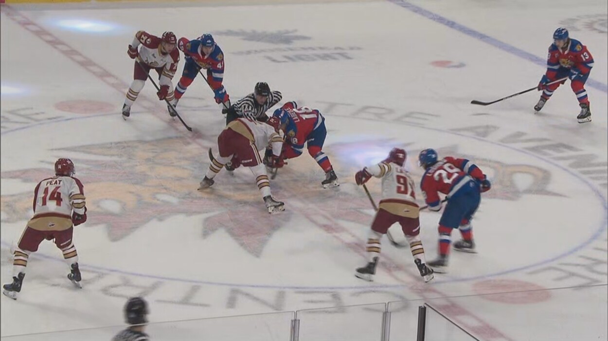 LHJMQ : les Wildcats de Moncton visent une participation aux séries ...