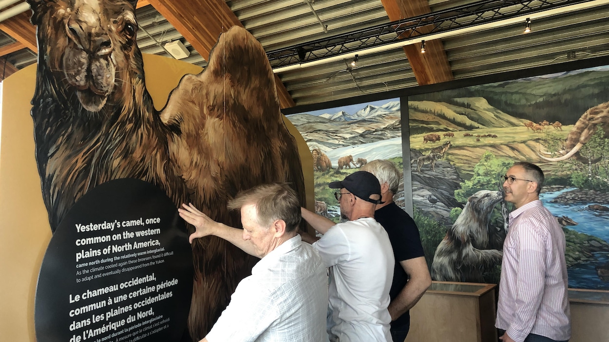 Réouverture du Centre d’interprétation de la Béringie de Whitehorse ...