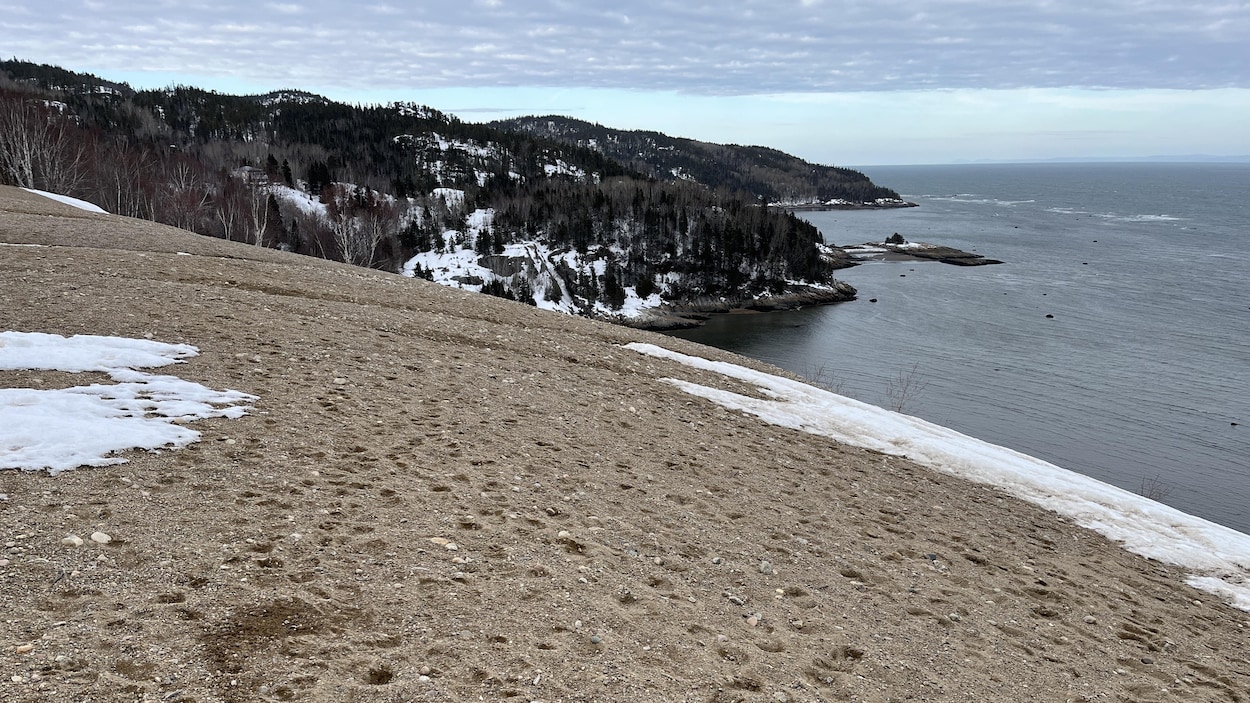 Un bon accueil pour le futur parc national des Dunes-de-Tadoussac ...