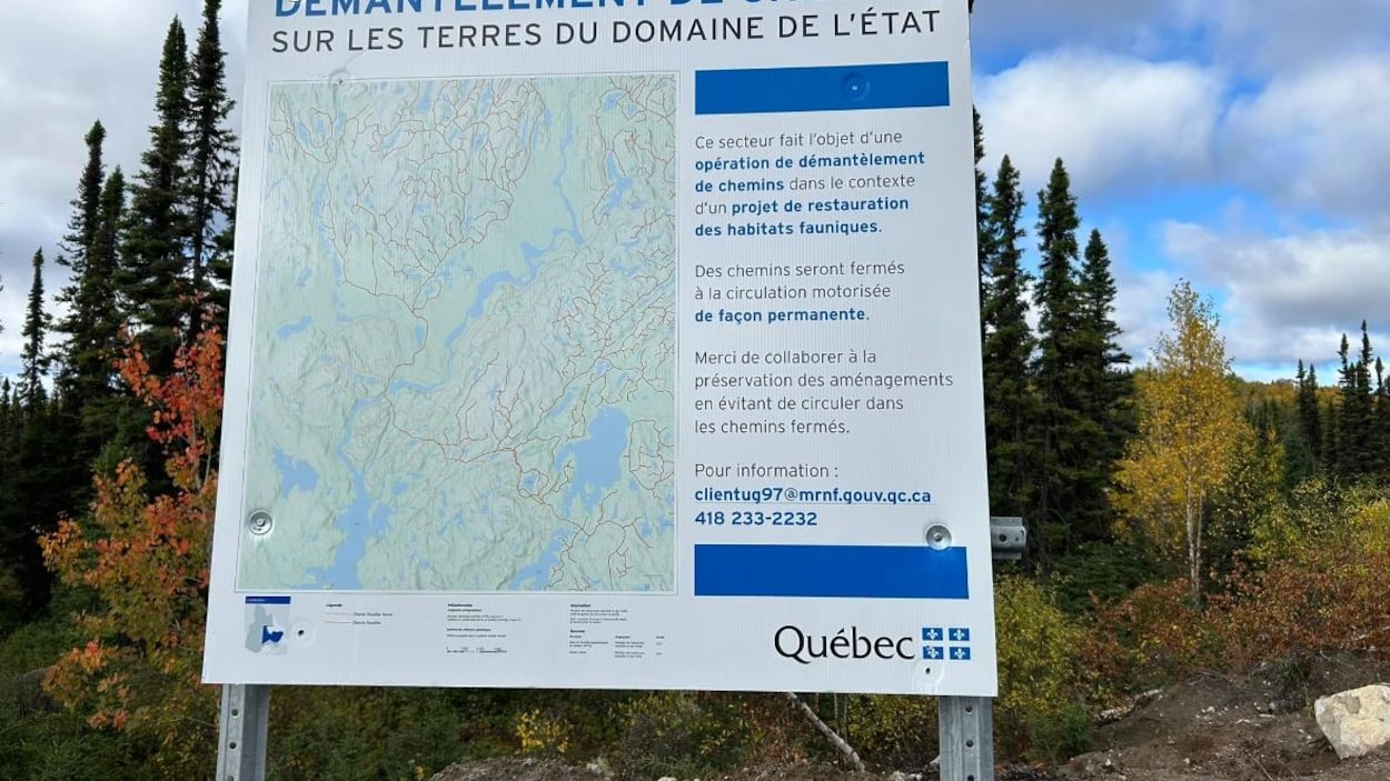 Fermer des chemins forestiers au nom du caribou | Radio-Canada