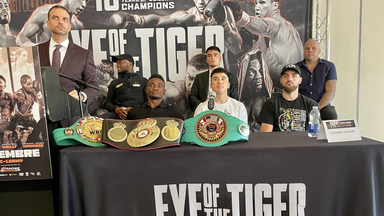 Eye of the Tiger promet une carte des ligues majeures aux partisans ...