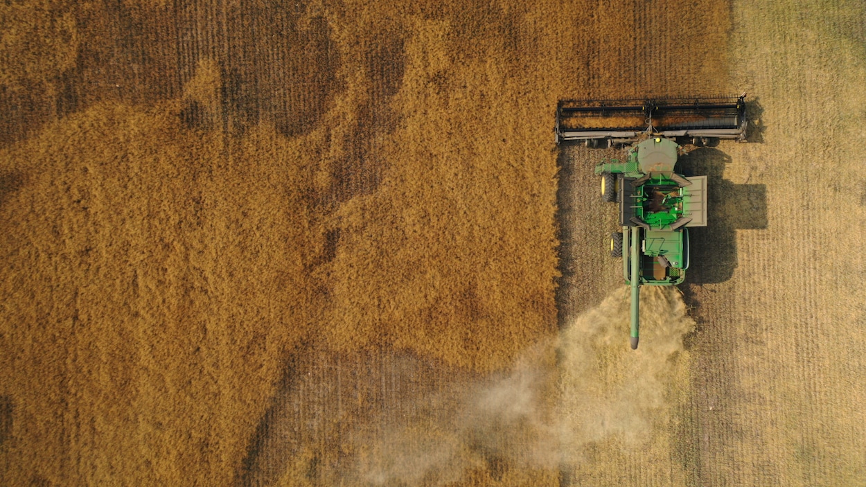 L’intelligence artificielle sera-t-elle le nouveau bras droit des ...