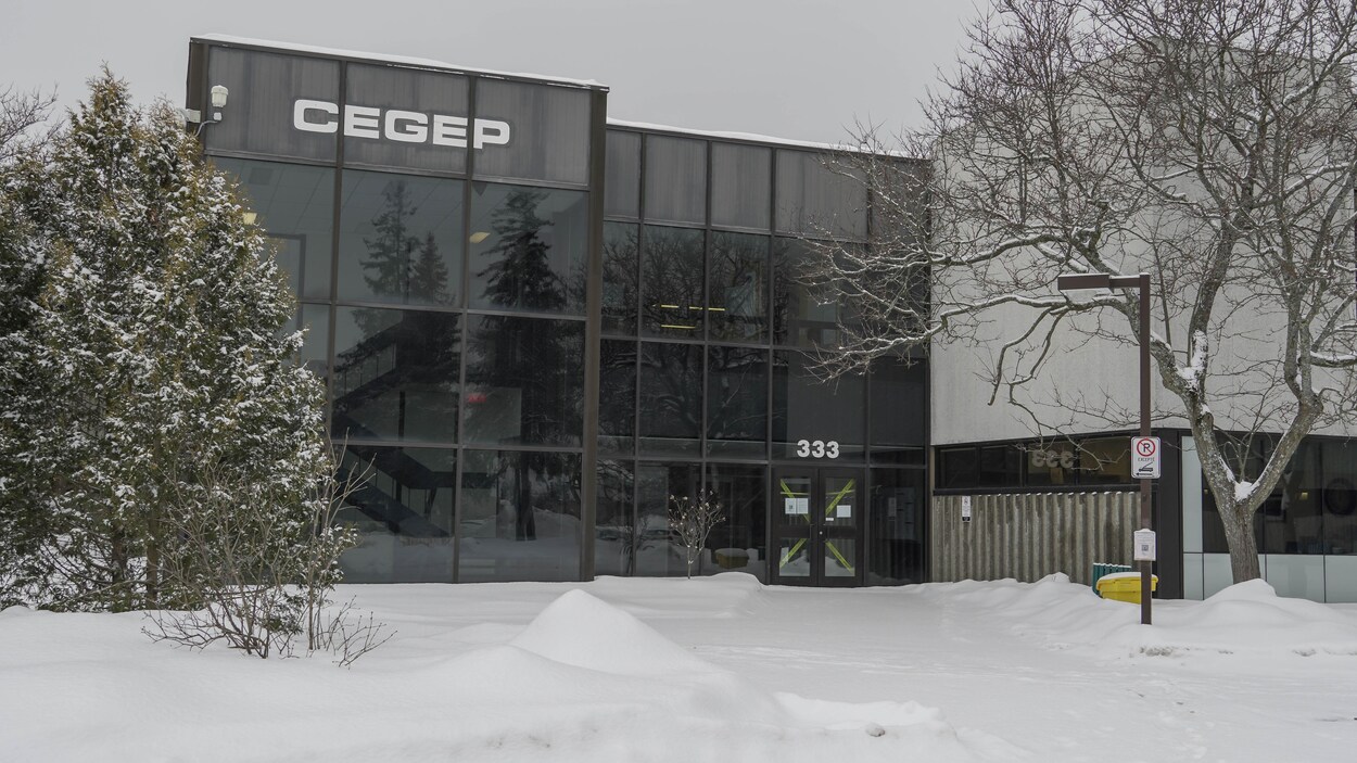 Le Cégep de l’Outaouais souhaite l’ajout de 4 nouveaux programmes ...