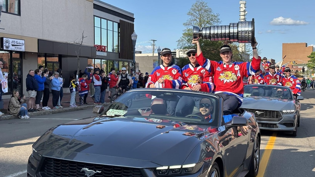 Moncton célèbre ses Wildcats, champions de la LHJMQ | Radio-Canada