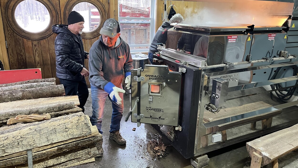 L'eau d'érable coule à flots au Bas-Saint-Laurent | Radio-Canada