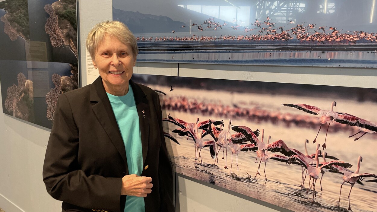 Une exposition photographique sur les oiseaux par l’astronaute Roberta ...