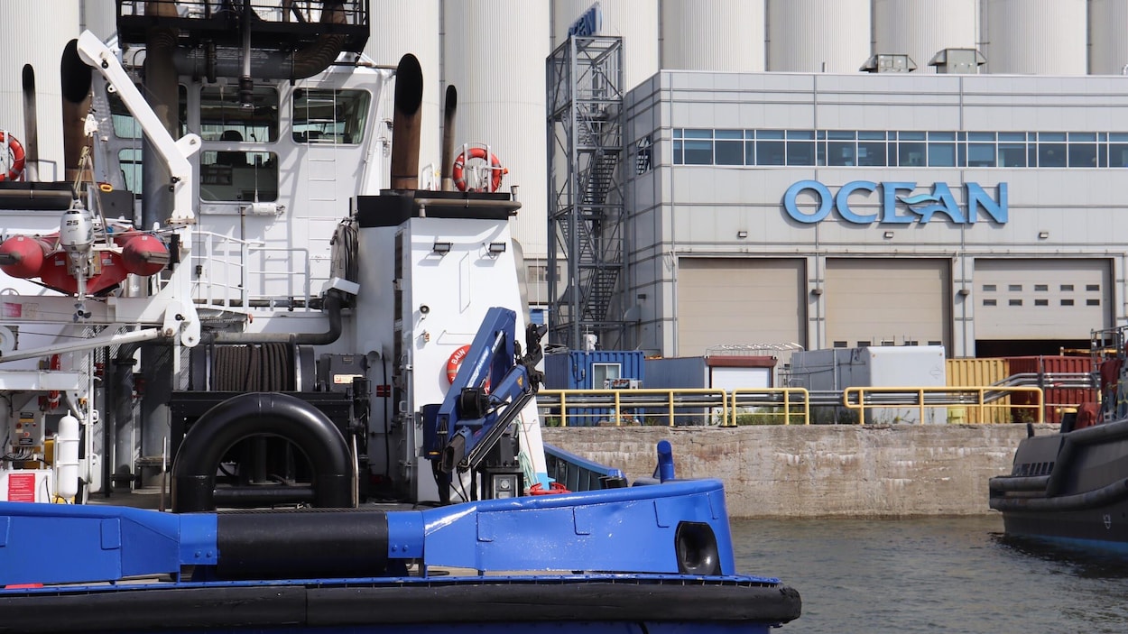 Québec investit 145 M$ dans Groupe Océan | Radio-Canada