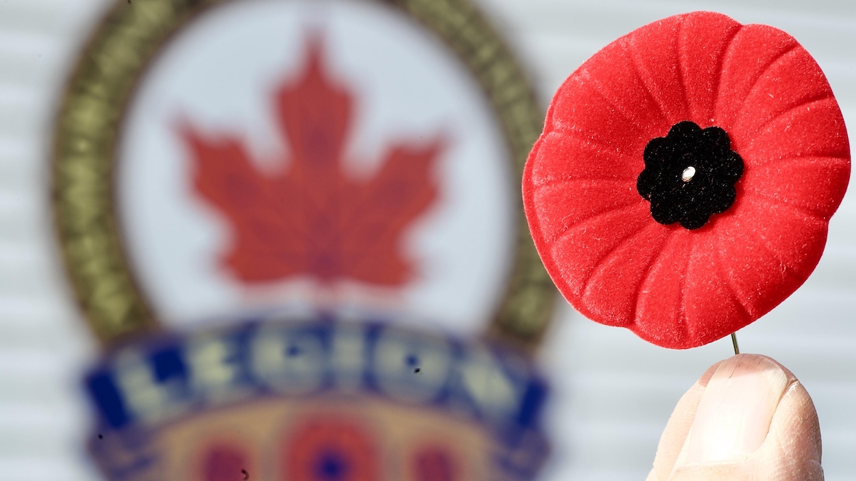 Jour du Souvenir : des cérémonies de moindre ampleur au Nouveau ...