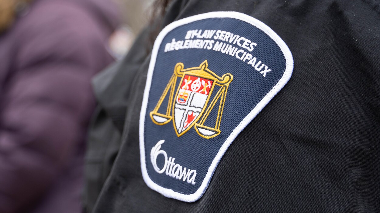 Un agent des Services des règlements d’Ottawa heurté par un ...