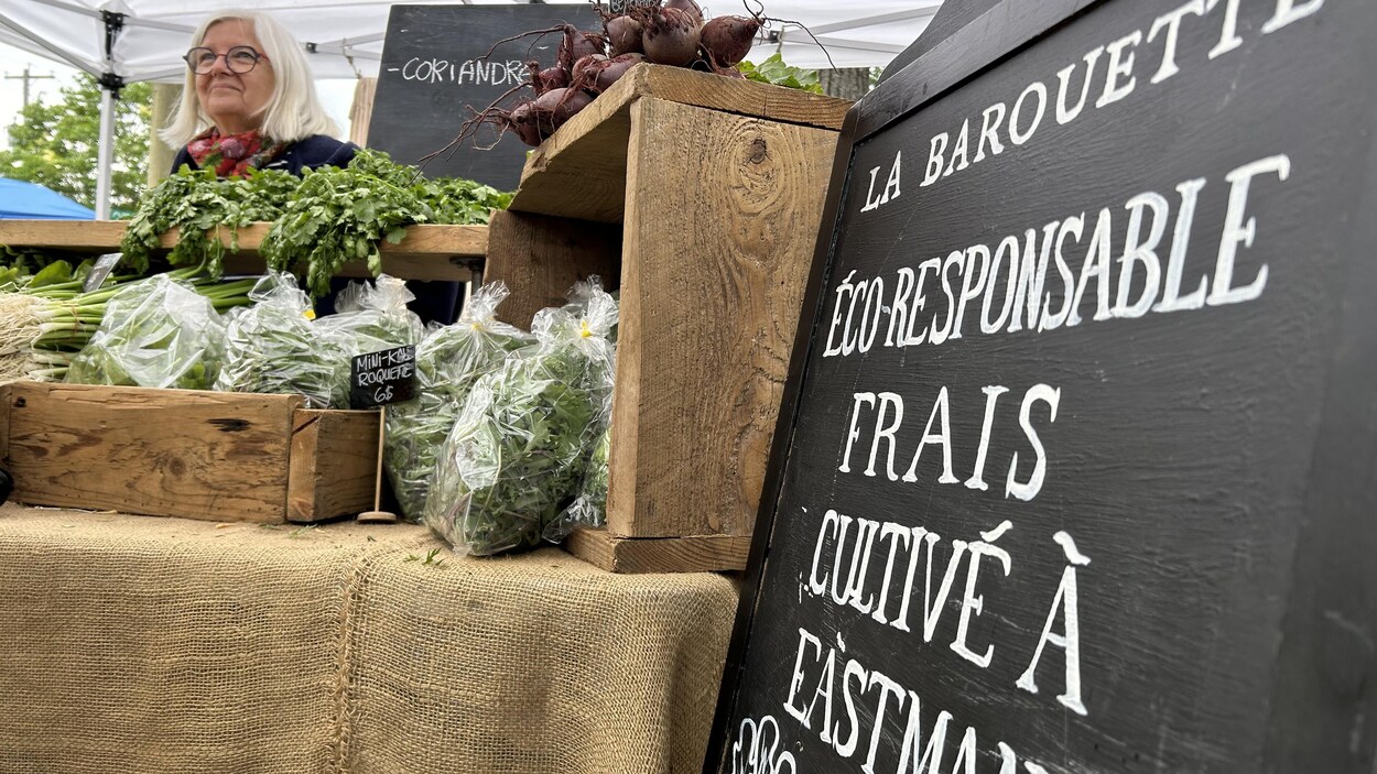 Les abonnements aux paniers biologiques en baisse en Estrie | Radio-Canada