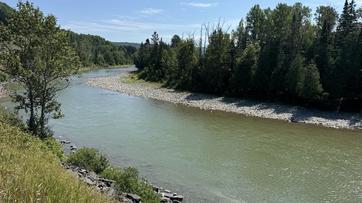 Saison de pêche au saumon difficile sur la rivière Matane | Radio-Canada