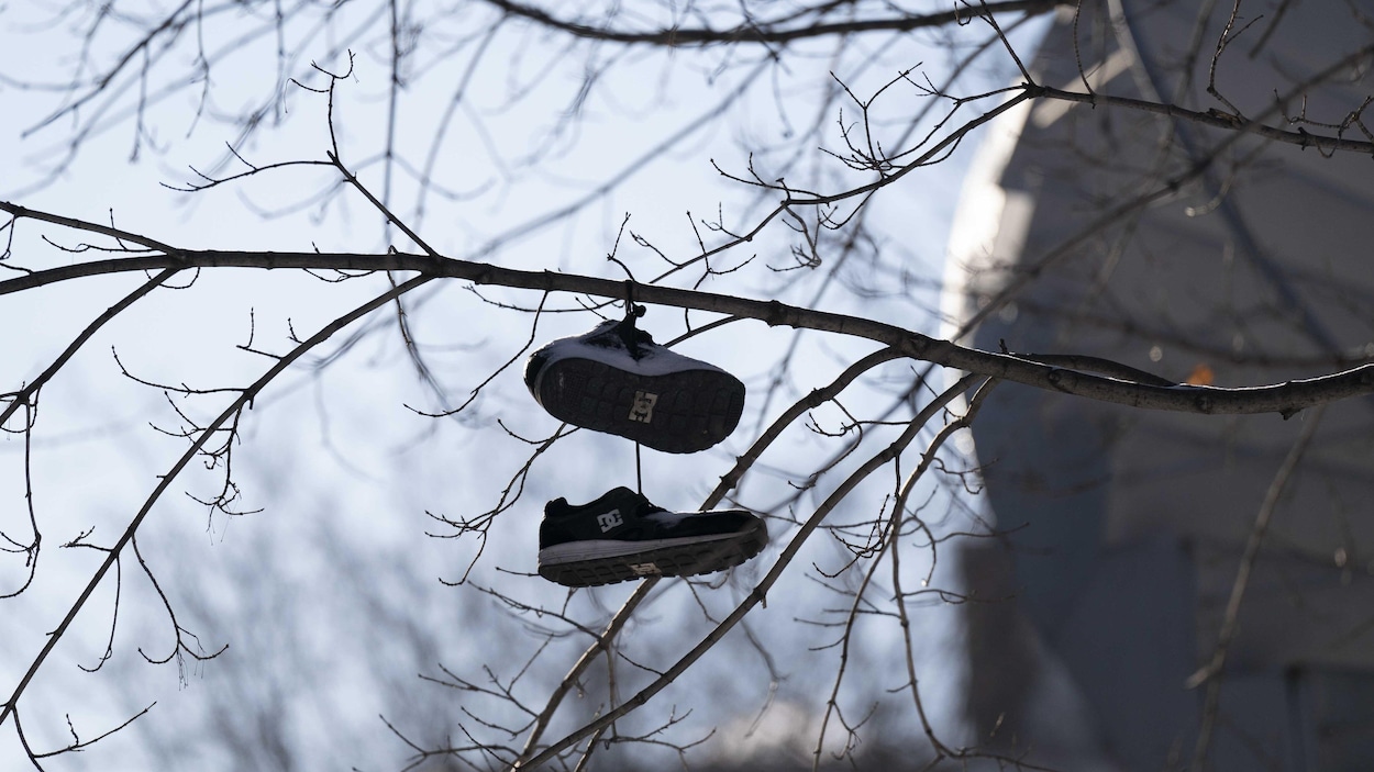 Un symposium sur les gangs de rue organisé à Prince Albert | Radio-Canada