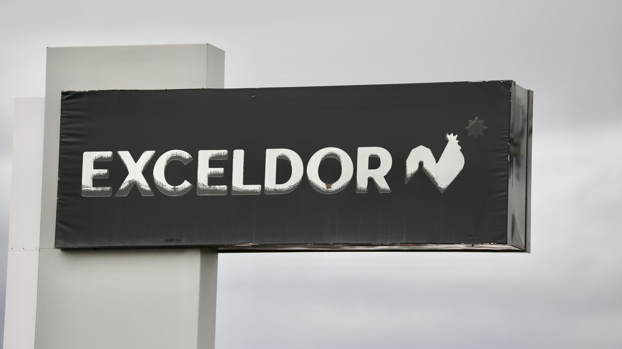 Exceldor : des « milliers » de poulets euthanasiés par manque de ...