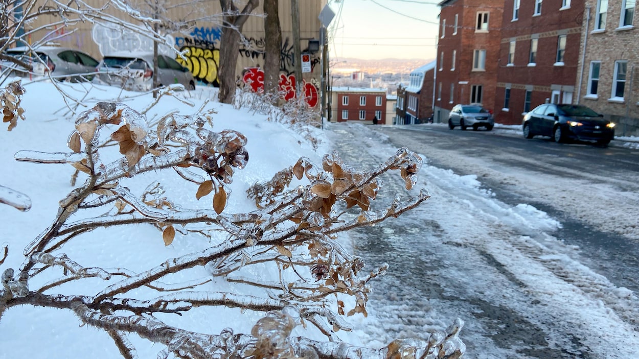 Le verglas a plongé dans le noir des milliers de clients | Radio-Canada.ca