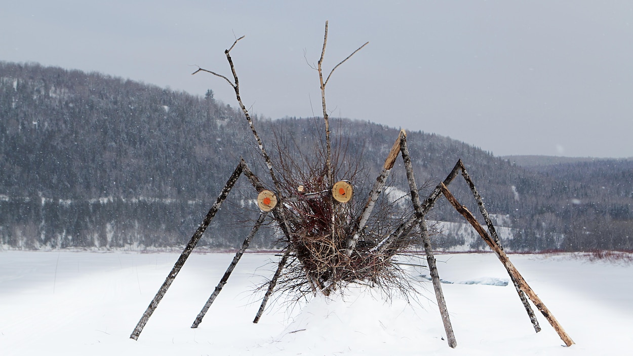Les « bibittes » se multiplient sur les rivières gaspésiennes | Radio ...