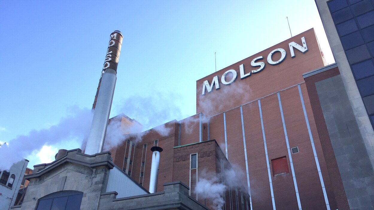 L'avenir des terrains de Molson à Montréal est scellé | Radio-Canada.ca