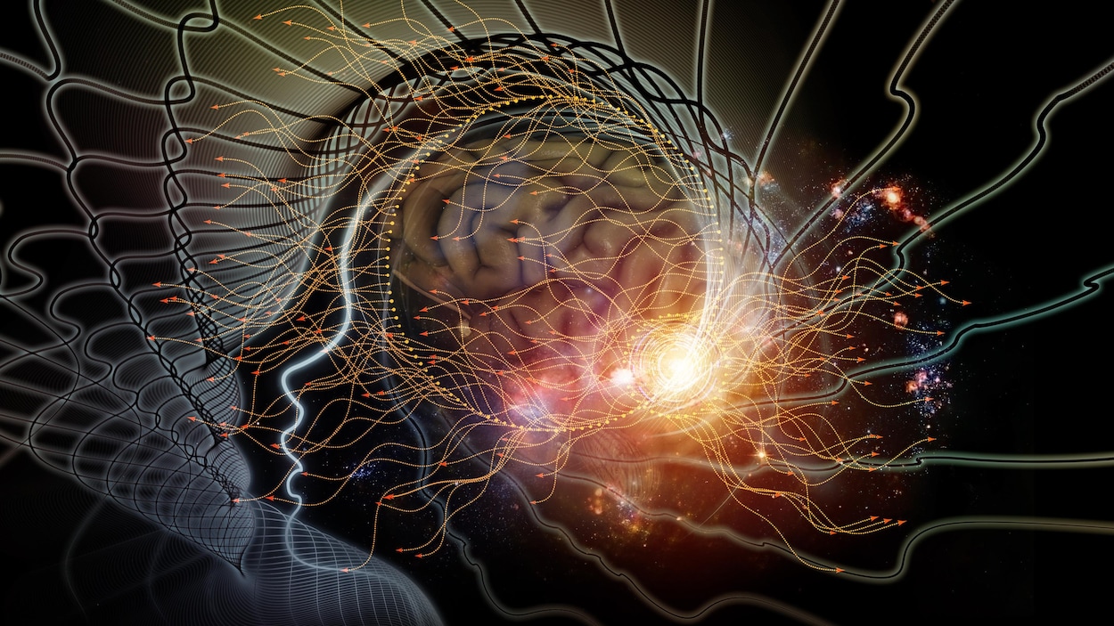 Pour mieux comprendre la « conscience » du cerveau | Radio-Canada.ca