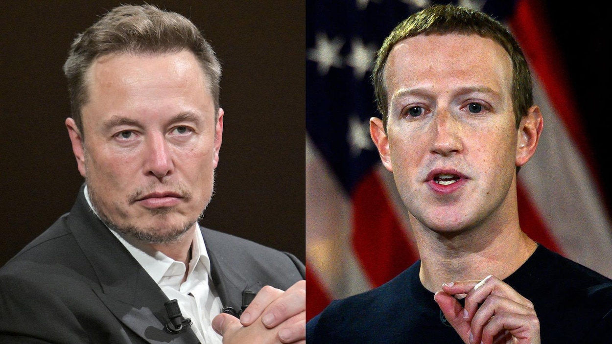 Twitter vs Meta: The Epic MMA Showdown of Elon Musk and Mark Zuckerberg - Archyde