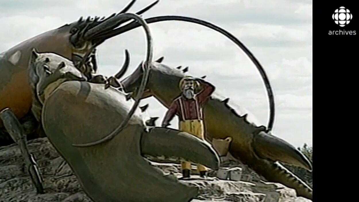 Il y a 70 ans qu’à Shediac on célèbre le homard | Radio-Canada.ca