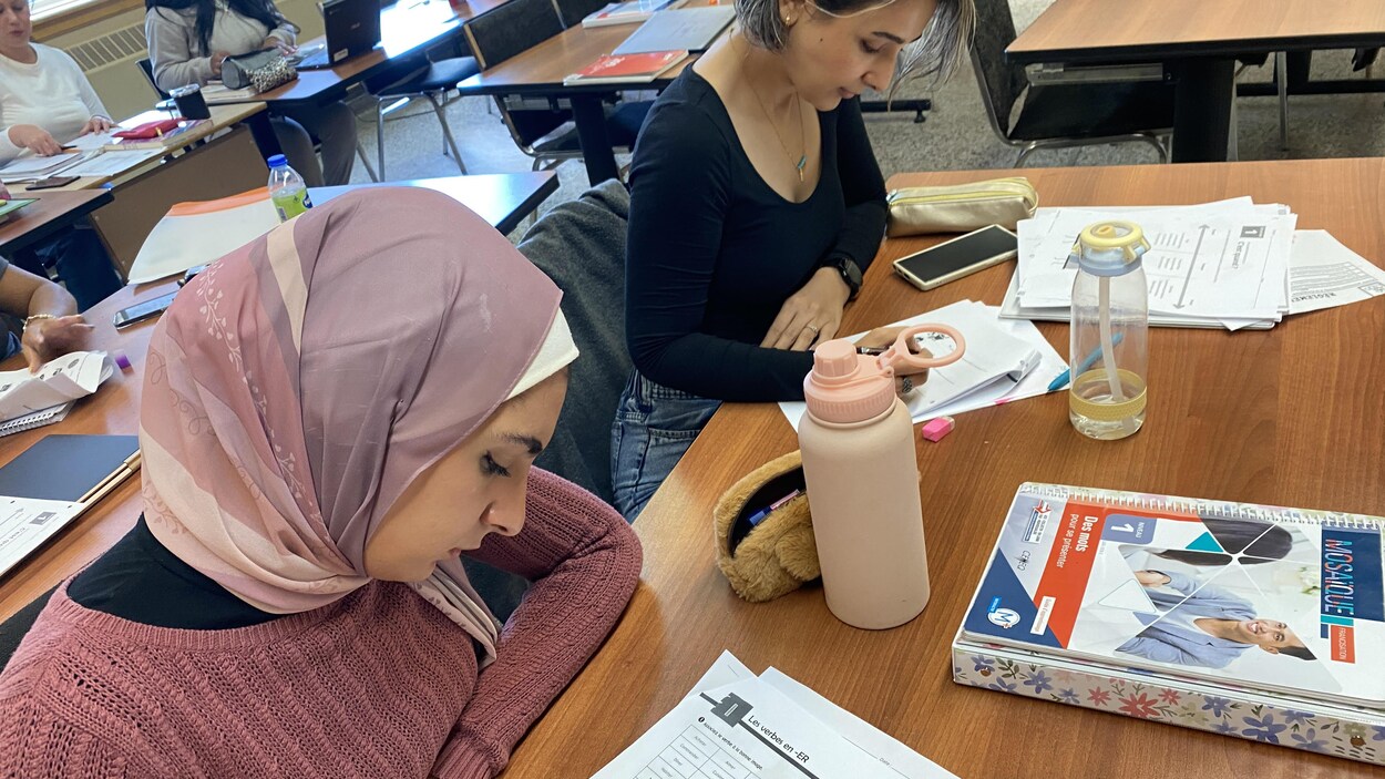 Des cours de francisation offerts à près de quatre fois plus d’élèves à ...