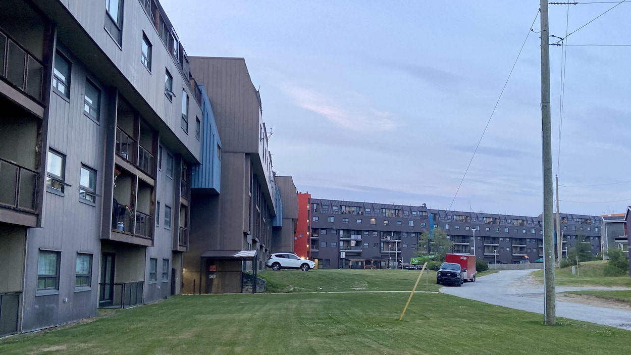 La campagne d’achat local de Fermont attire un plus grand nombre d ...