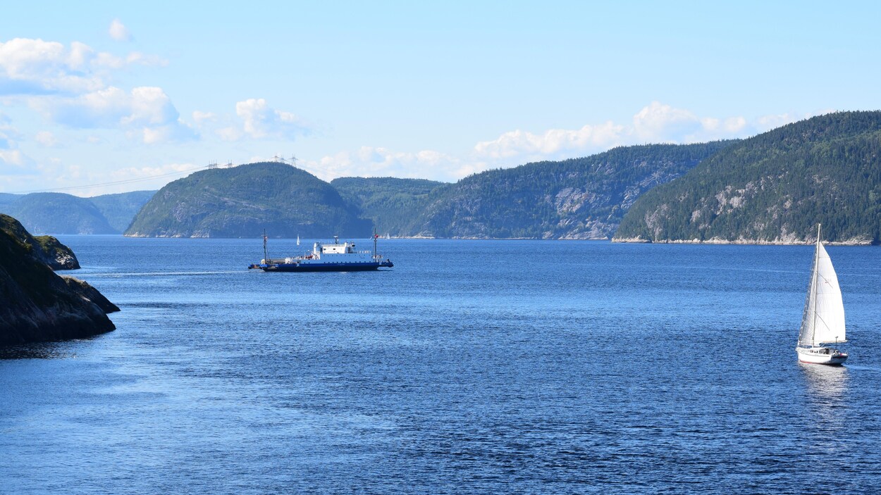 Vers l’agrandissement du parc marin du Saguenay–Saint-Laurent | Radio ...