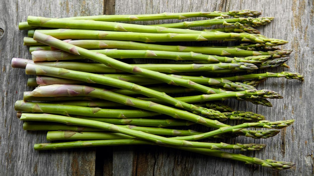 Une course contre la montre dans les champs d’asperges | Radio-Canada.ca