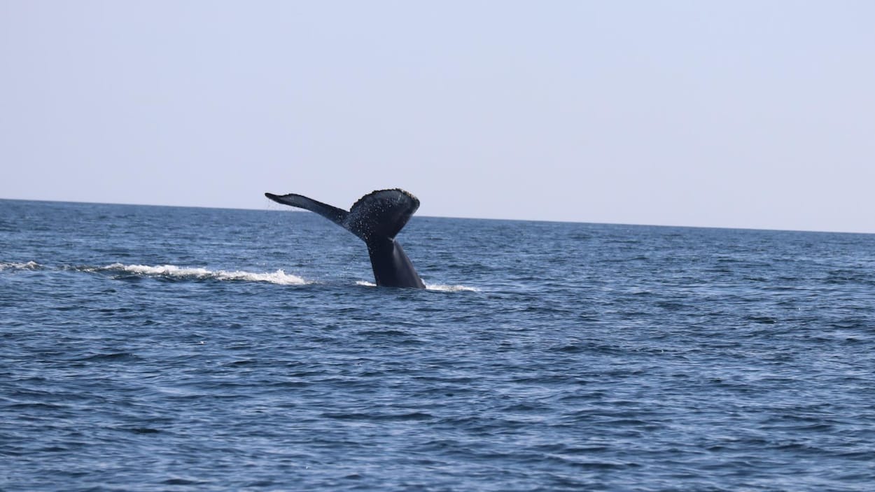 Scat porno videos definitely a good option though