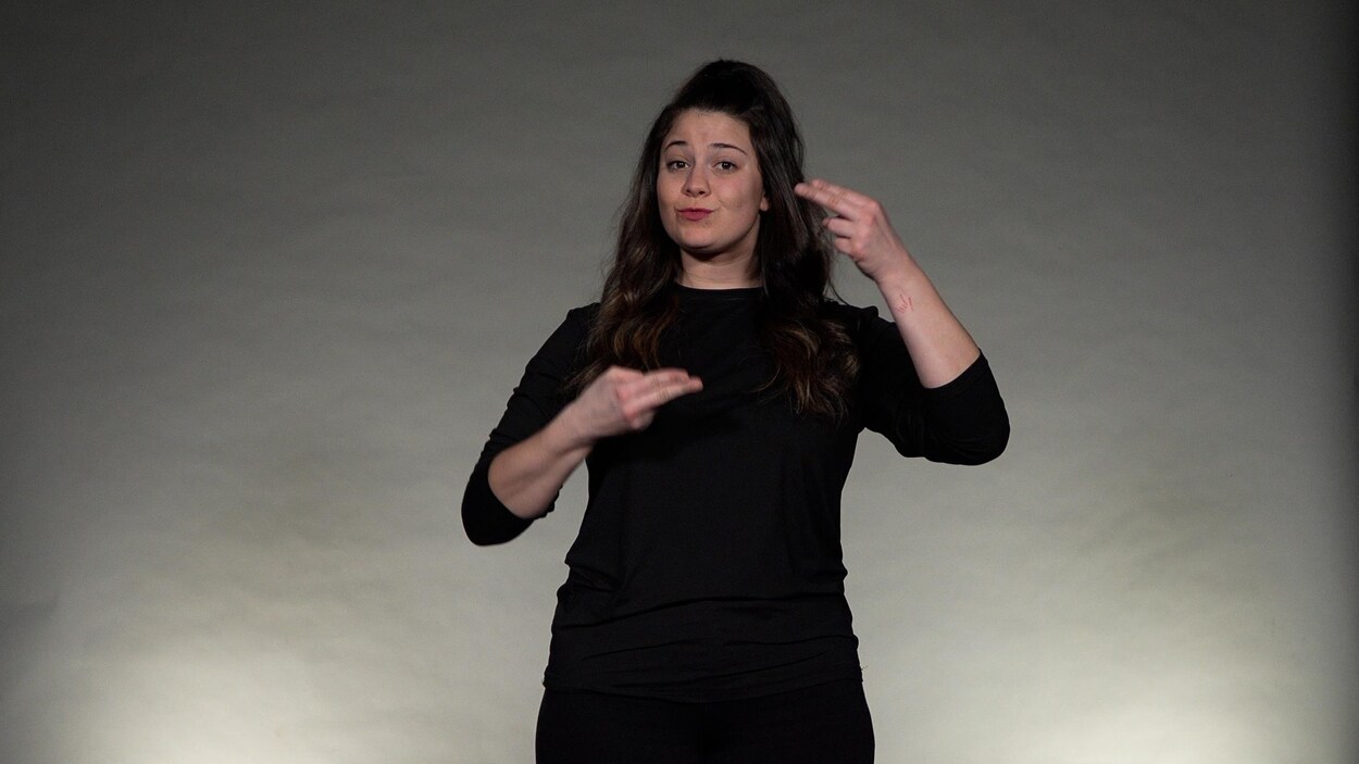 Le budget du Québec en LSQ | Radio-Canada