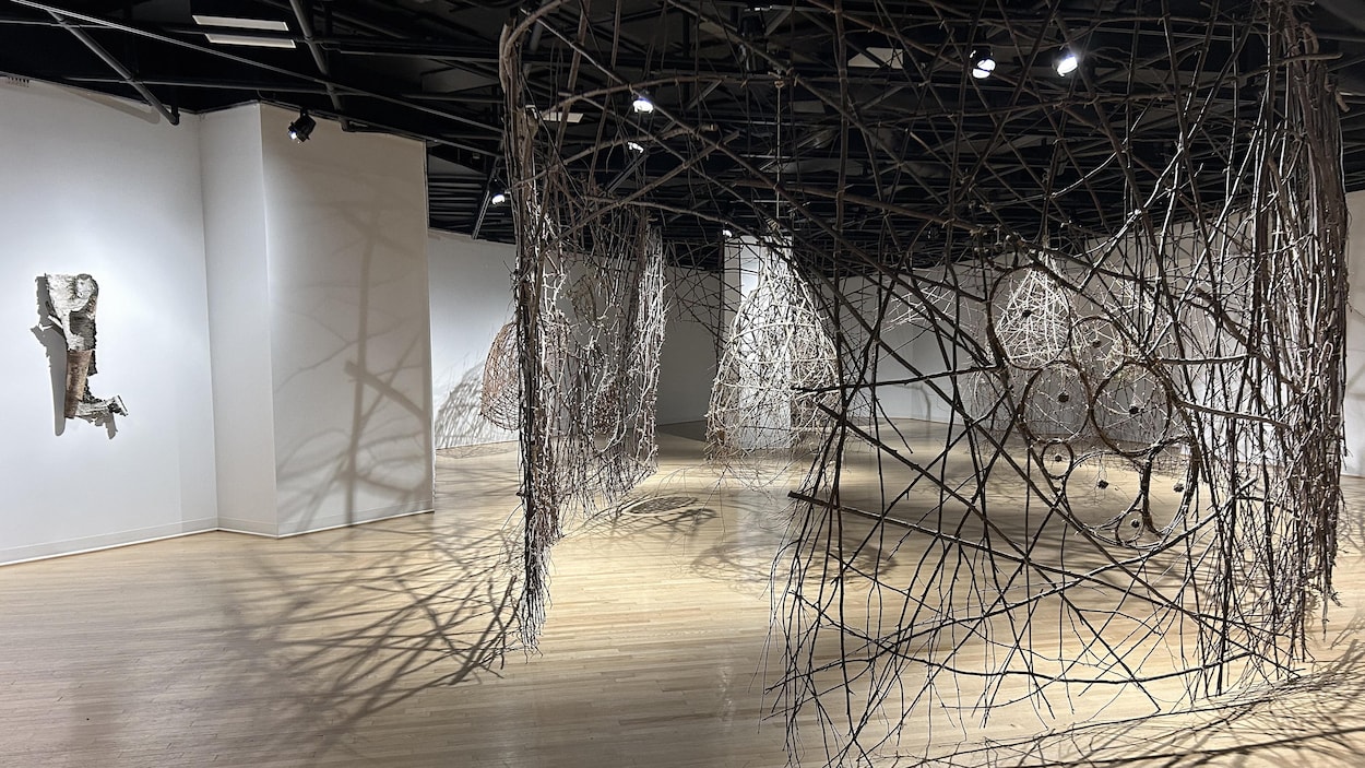 La forêt envoûtante de l’artiste visuel Marc Walter | Radio-Canada