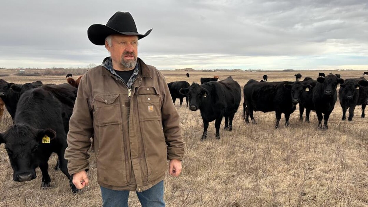 La sécheresse amène un hiver difficile pour les producteurs bovins ...