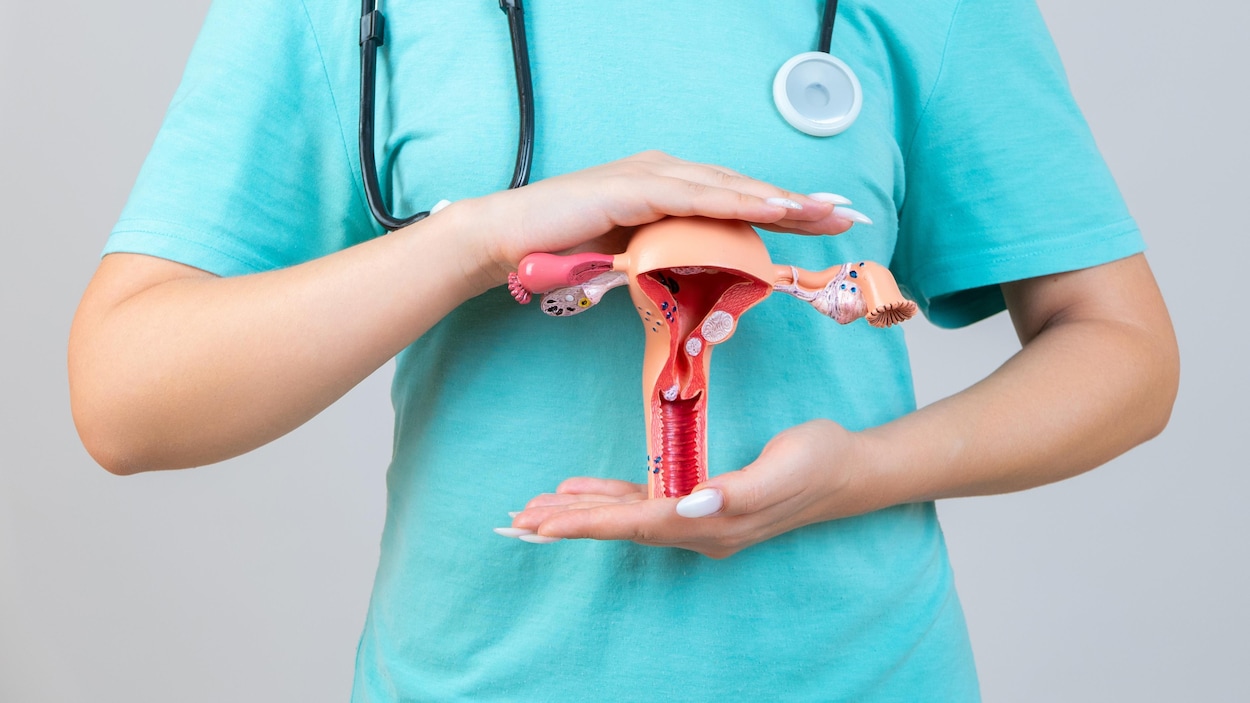 Besoin d’un gynécologue? Vous risquez d’attendre | Brève | Radio-Canada