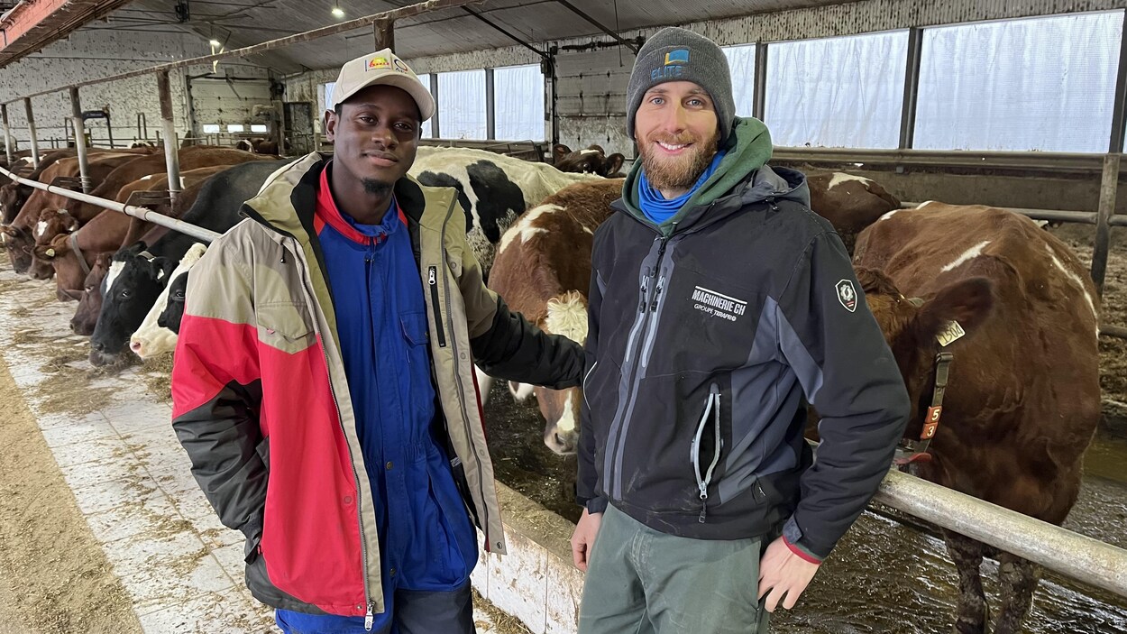 Des agriculteurs de plusieurs pays africains visitent des fermes du ...