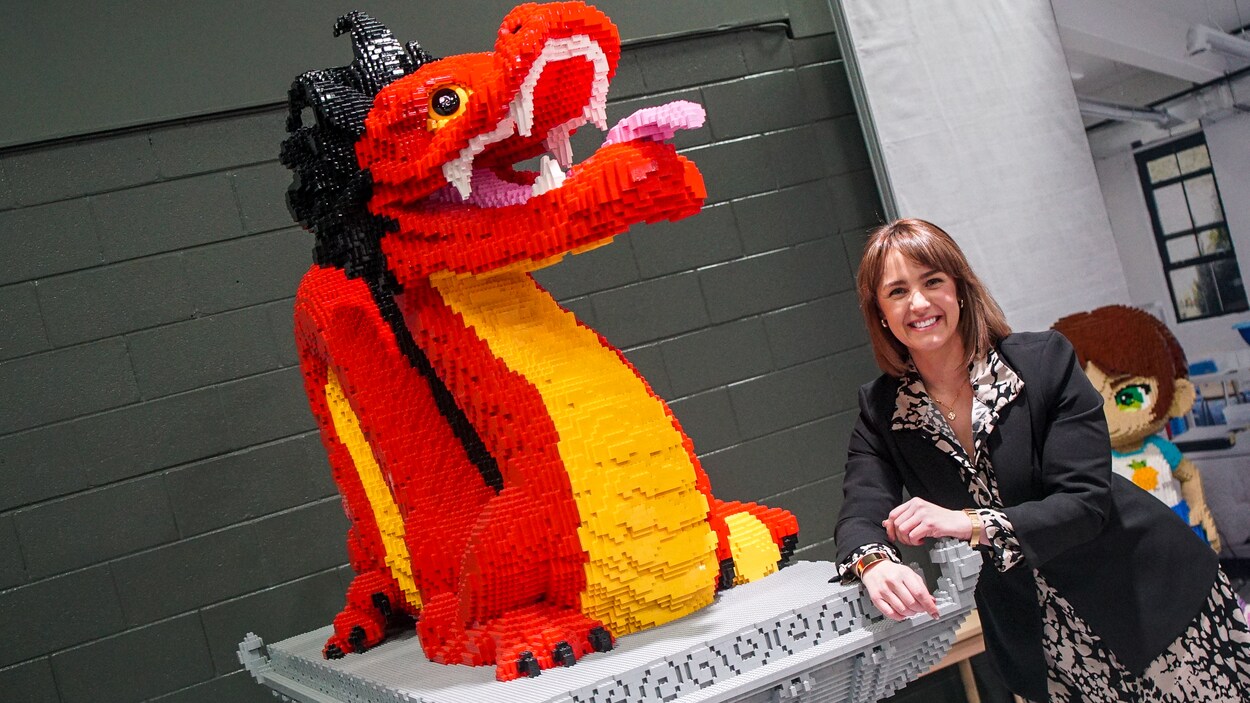 Construire avec les briques LEGO® comme un pro | Radio-Canada